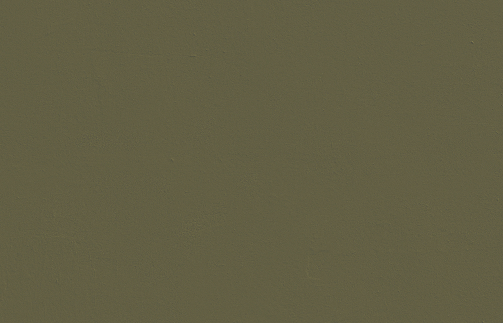 Green 05: Dusky Olive Green Paint - Matt Interior Paint | Lick