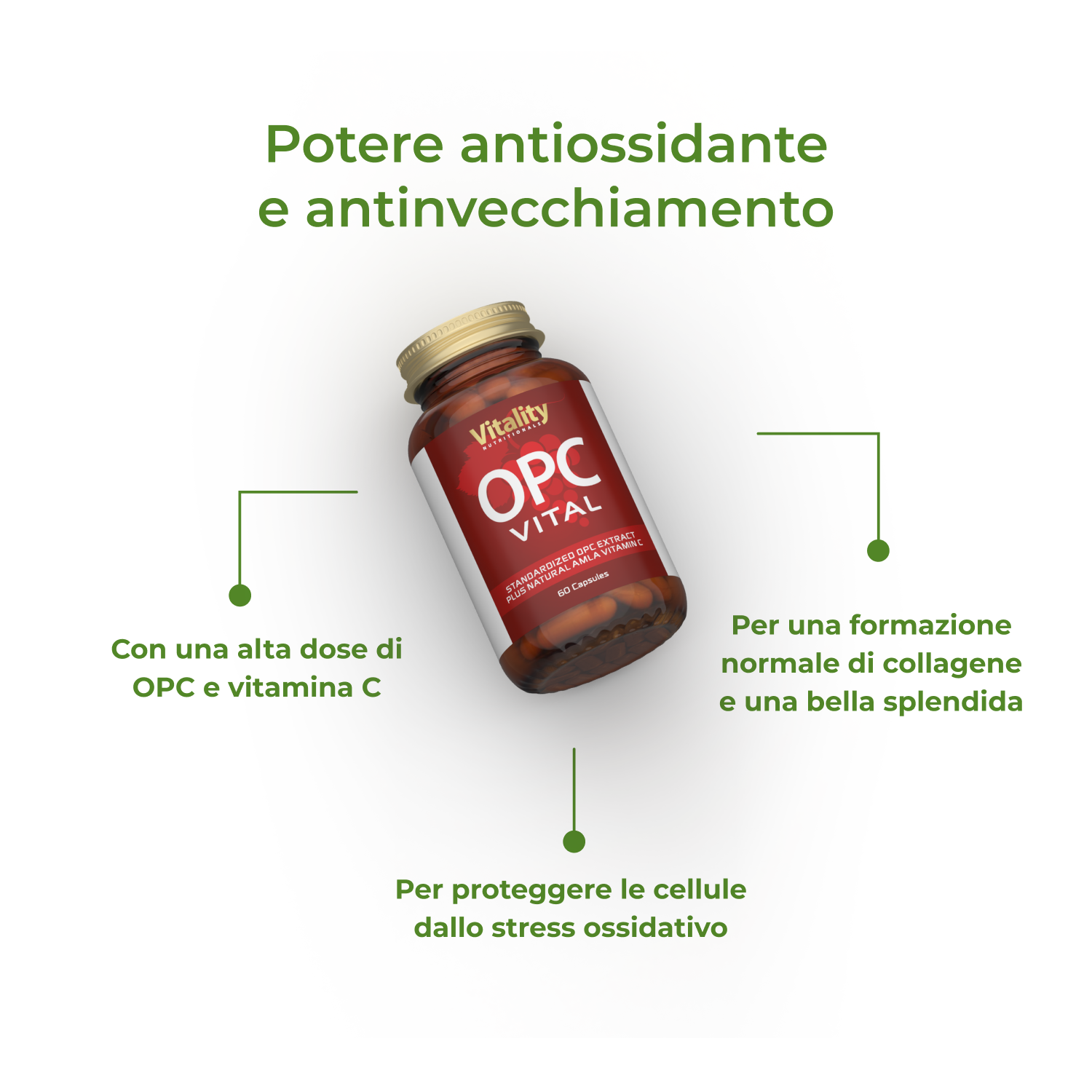 Compra capsule OPC - OPC Vital - VitaminExpress