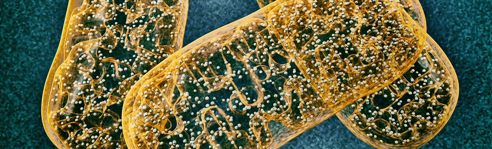 BioCentury - Adult path for mitochondrial gene editing