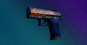 P2000 Skins | DMarket
