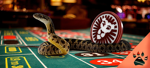 Roulette Blog | LeoVegas Canada