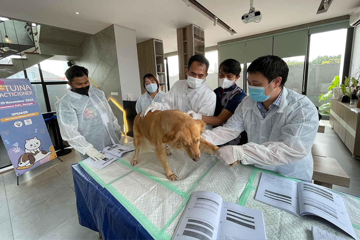 Tui-na - Chi University