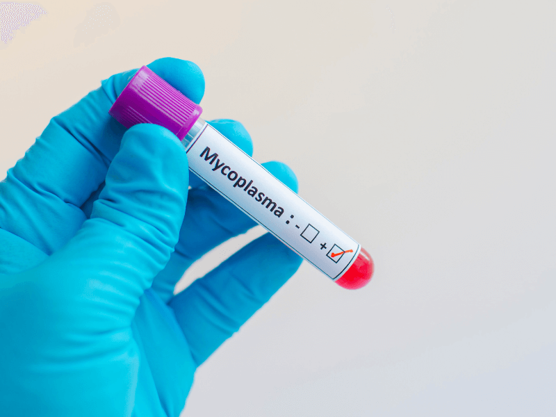 How does a mycoplasma test work? | STDWatch.com