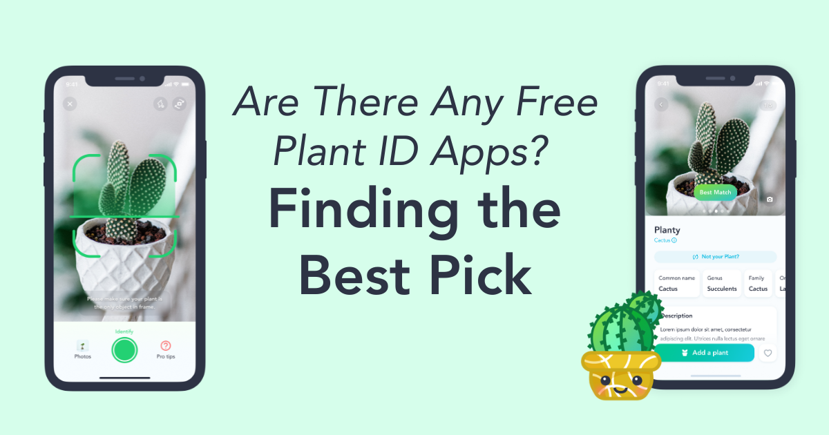 Help Me Identify My Plant The 10 Best Apps For Identifying Plants And