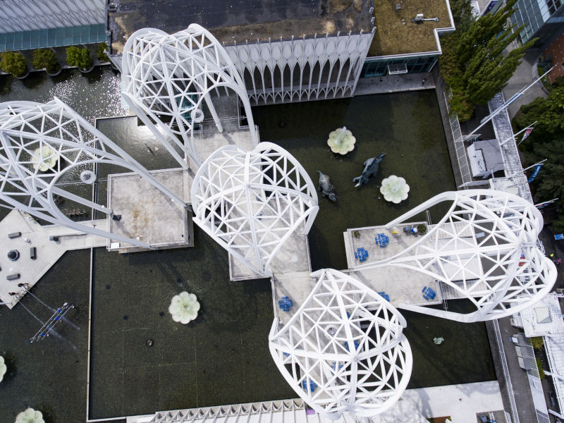 Our Top 6 Pacific Science Center Exhibits You Can’t Miss | CityPASS® Blog