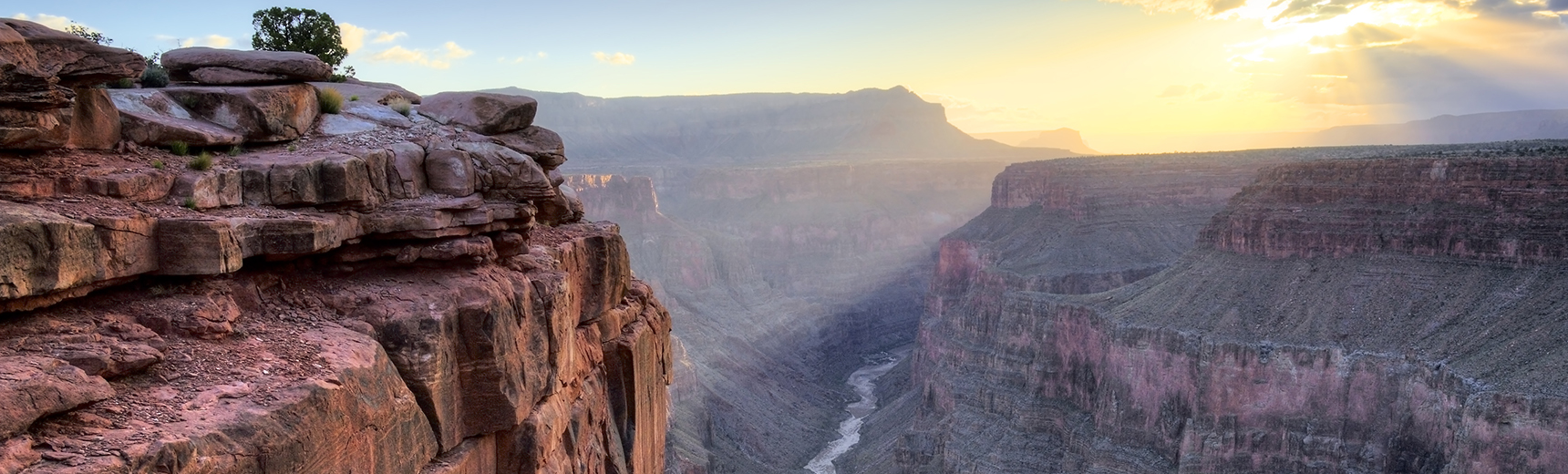 BioCentury - Roche’s partnering priority