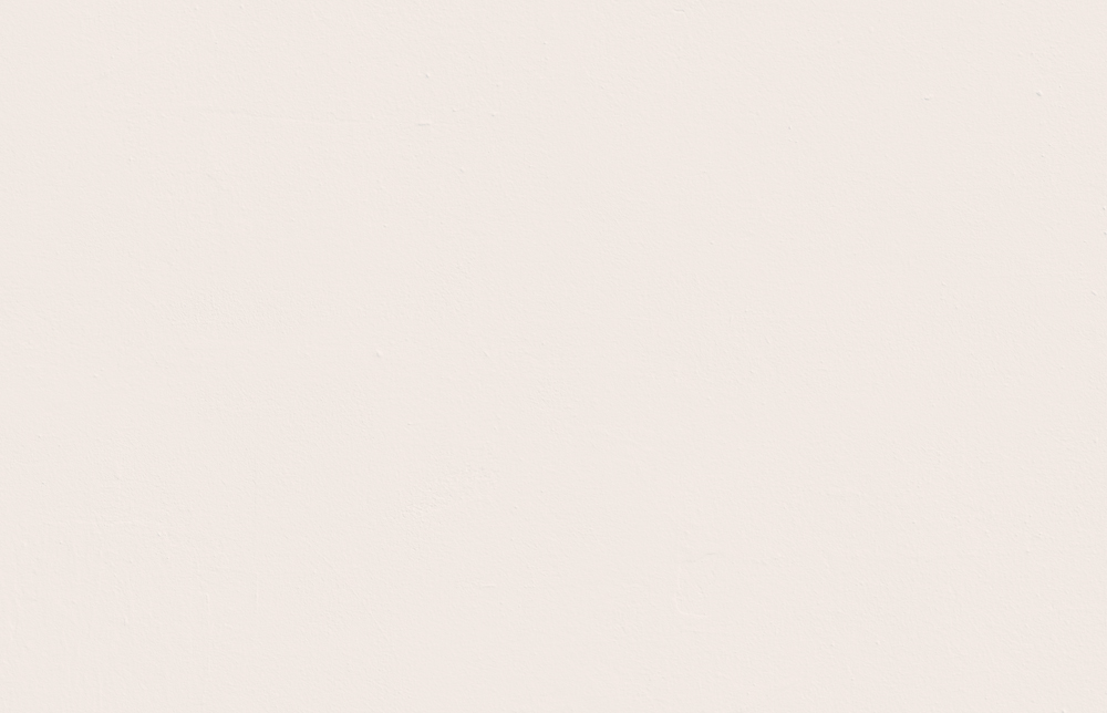 White 06: Chalky White Paint - Eggshell Interior Paint | Lick