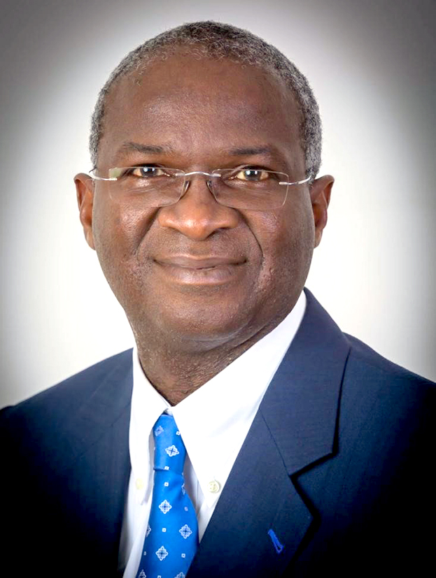 Babatunde Raji Fashola, SAN | Quramo Author