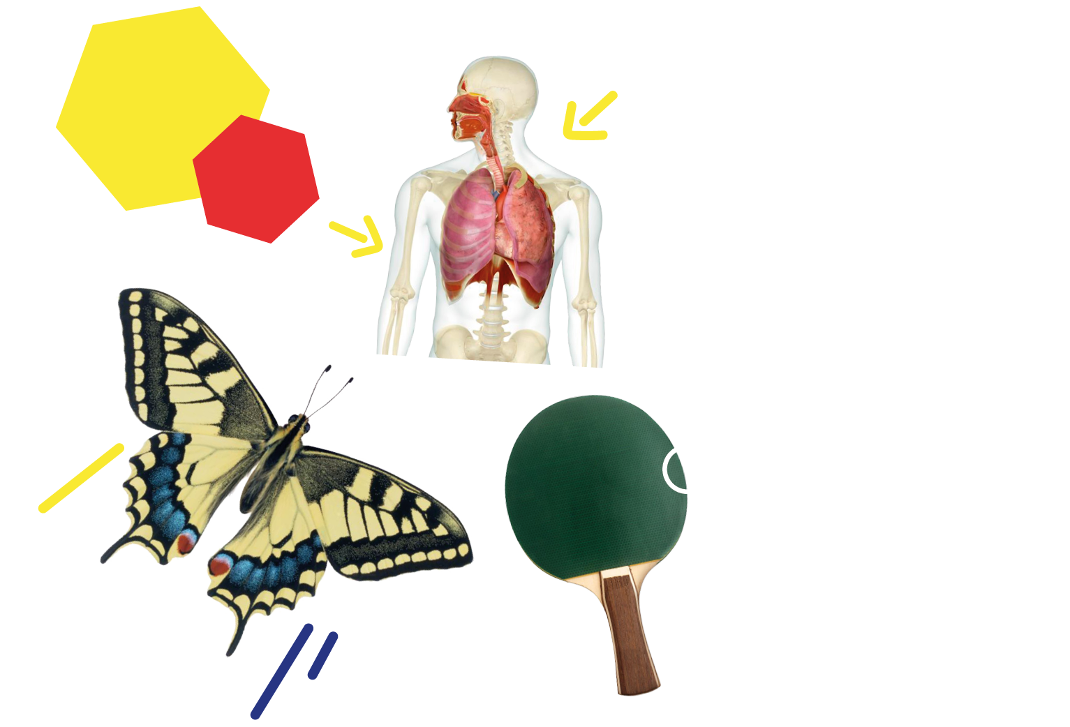 DK Learning: Make every lesson your best yet