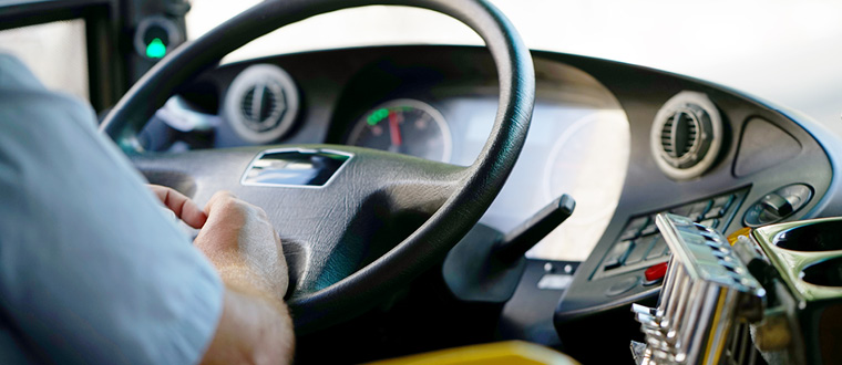 How to become a Bus Driver - Skills & Job Description – SEEK