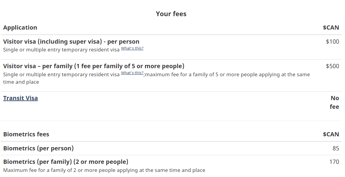 How to Apply For a Visitor's Visa