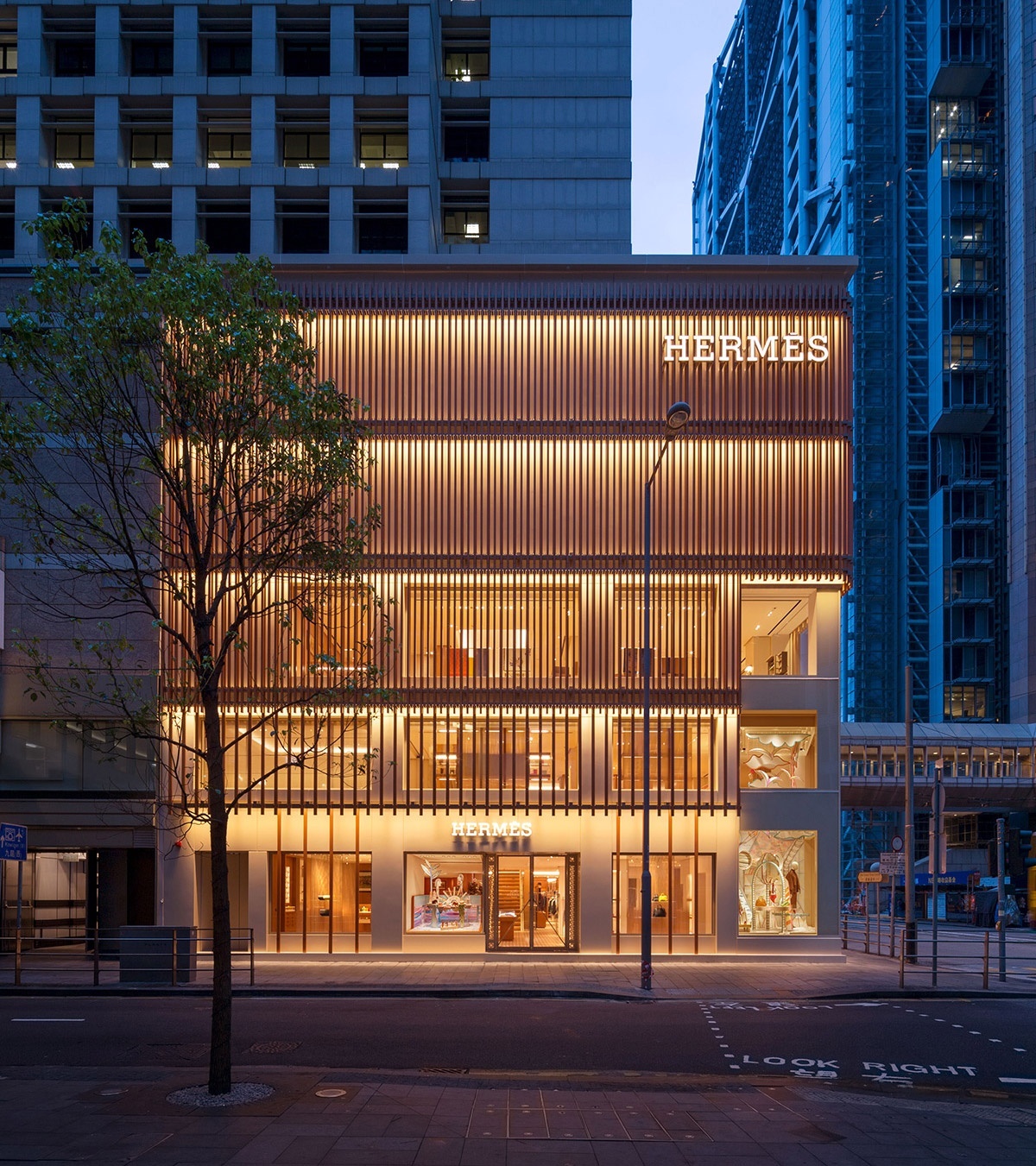 Deep Flight 🐡🪼🐠 – Tin&Ed