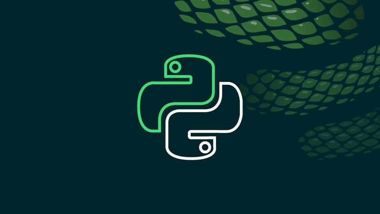 Python Wizards For Beginners: Unlock The Magic Of Coding