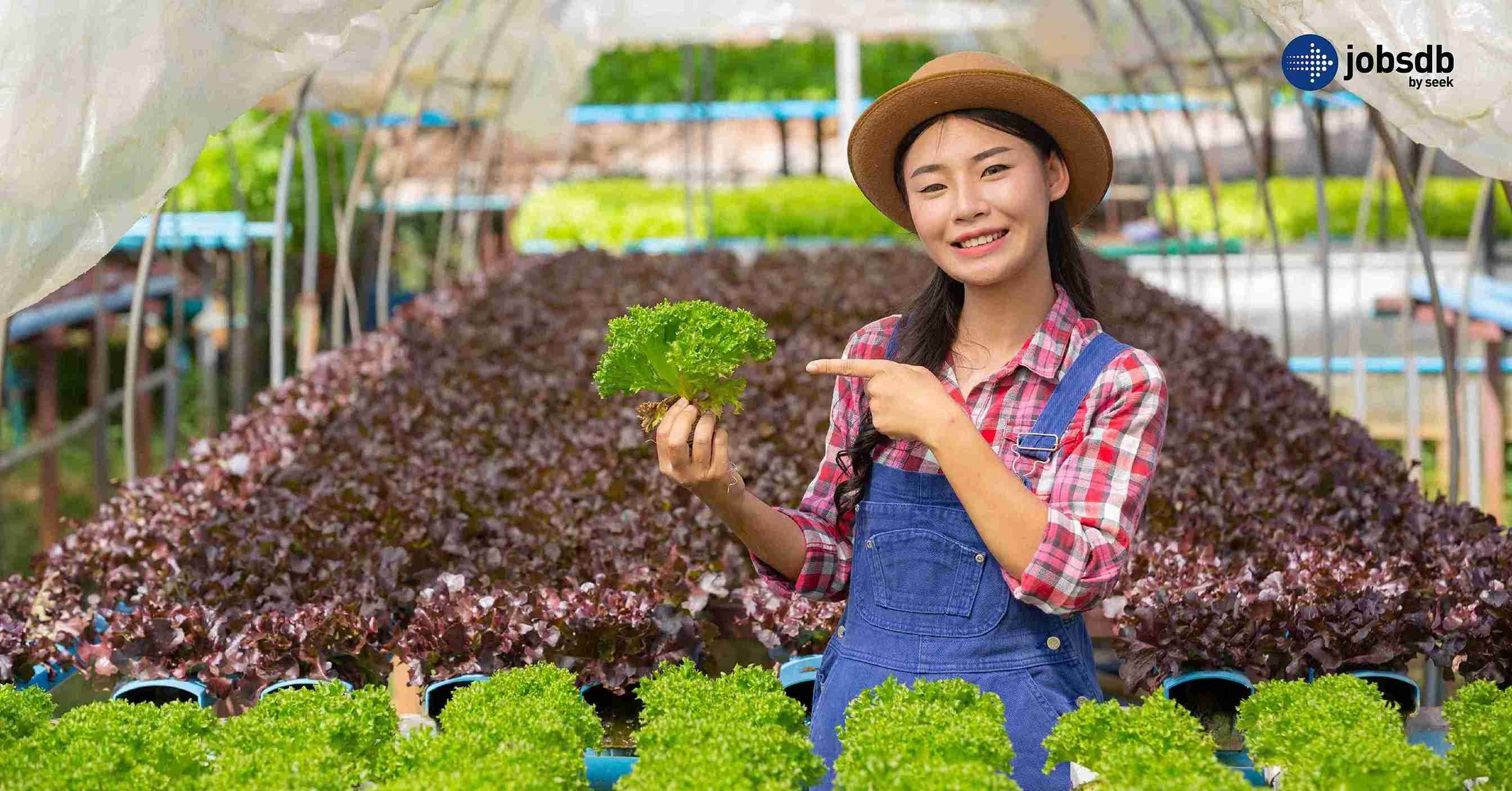 รวม 30 อาชีพอิสระที่น่าสนใจ ตอบโจทย์คนอยากมี Work Life Balance - Jobsdb ไทย