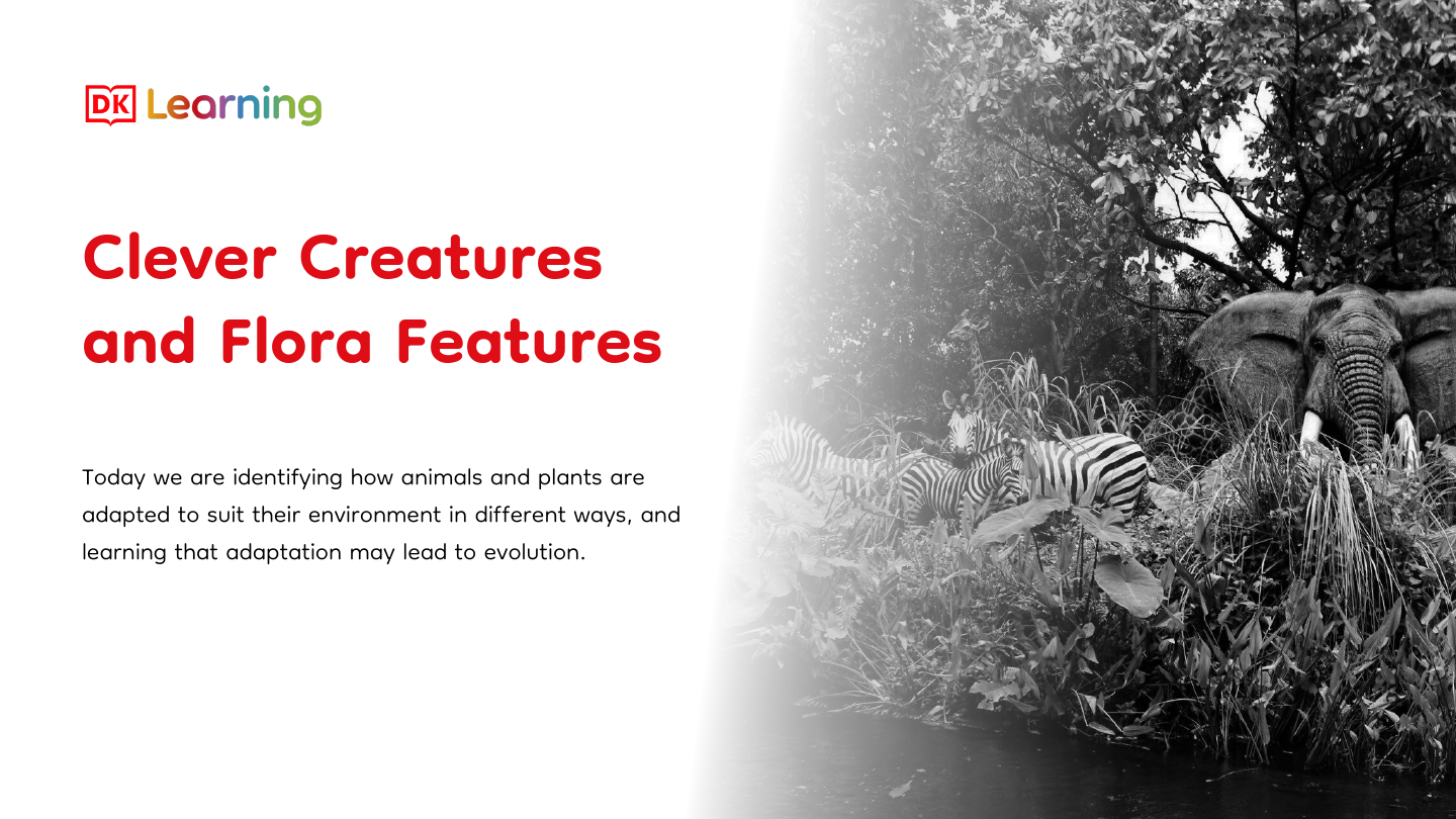 Clever Creatures and Flora Features Presentation