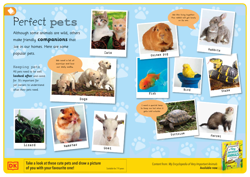 Perfect Pets Activity Sheet