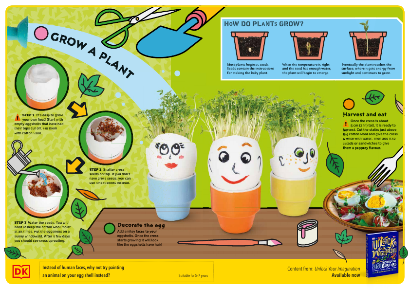 Grow Your Plants Indoors Activity Sheet