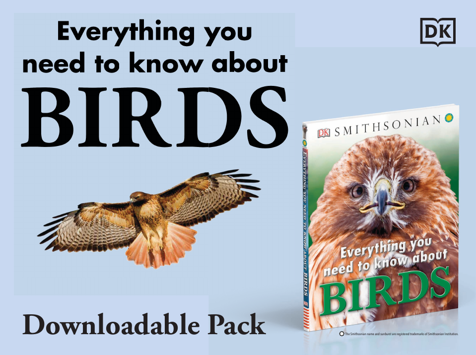 Discover Everything You Need To Know About Birds Activity Pack