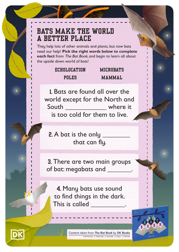 The Bat Book Activity Sheet