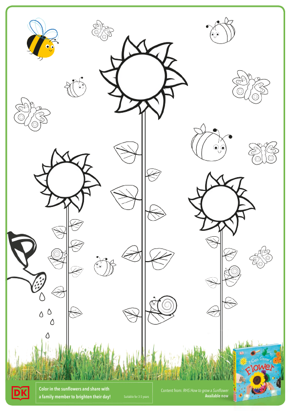 Color a Sunflower Activity Sheet