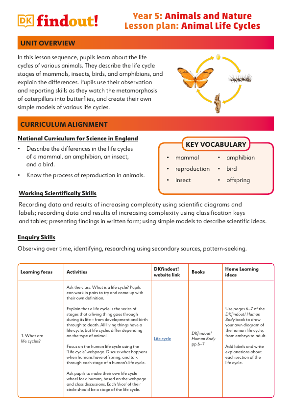 DKfindout Science Year 5 Lesson Plan