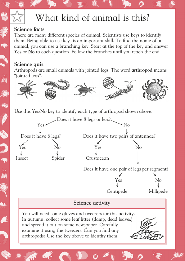 Free DKfindout! Worksheet: Science: Classification keys