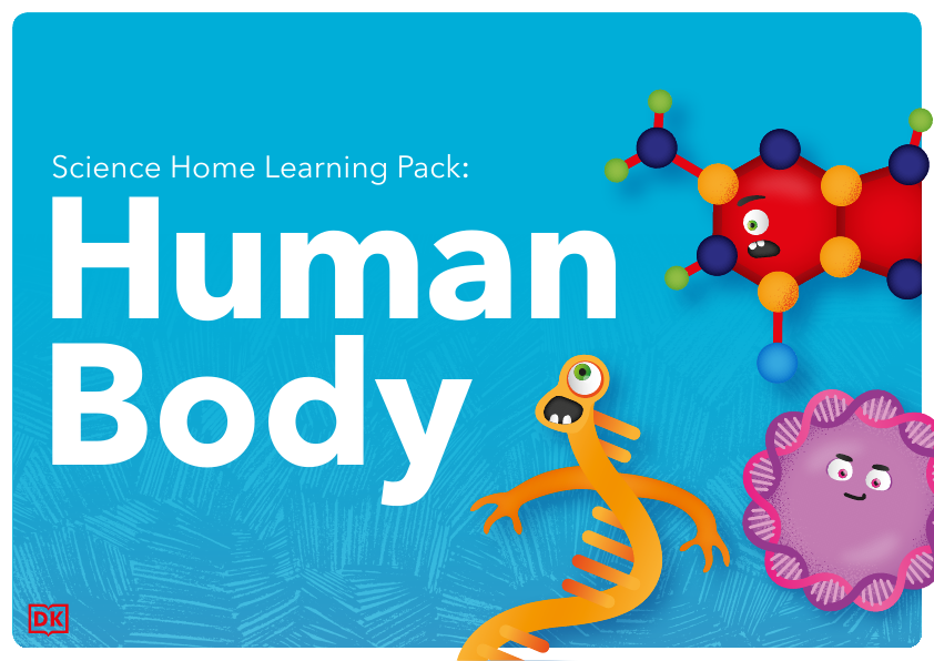 Human Body Activity Sheet