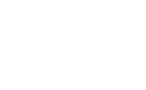 Service Partners - Unreal Engine