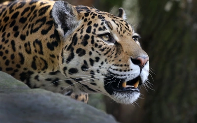 Hoe ik van mening veranderde - De Volkskrant Shop