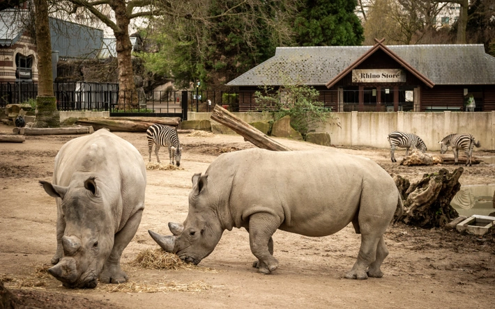 ZOO Antwerpen - Tickets met korting 🦁 - Leukstetickets.nl