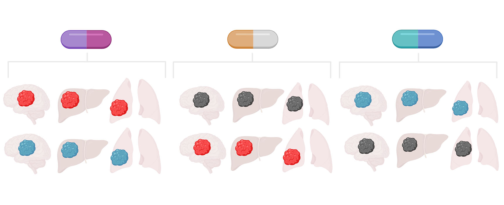 BioCentury - Basket trials carry tumor-agnostic drug development forward
