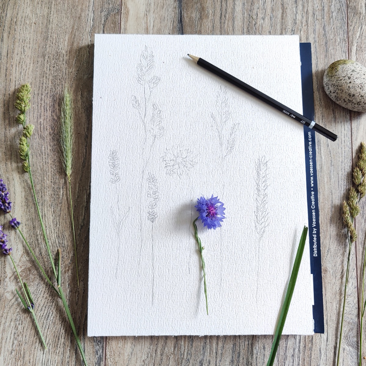 Watercolouring with natural pigments