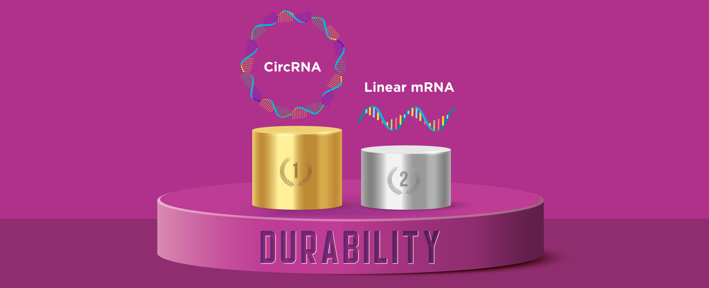 BioCentury - Emerging circular RNA field split on what to deliver and ...
