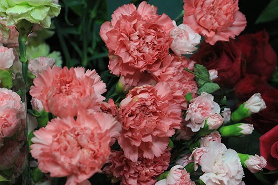 15 Cut flowers that last | Interflora