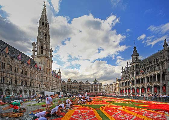 The Brussels flower carpet