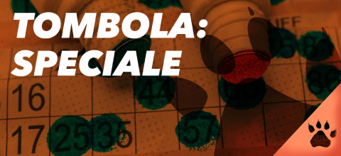 Tombola - Significato dei Numeri e Come giocare (Guida aggiornata al ...