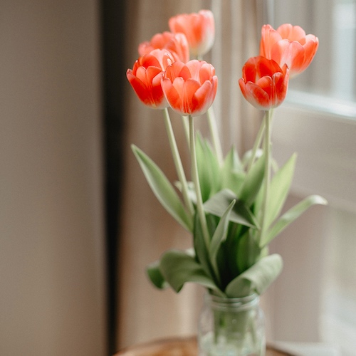 Which Flowers To Send For Mental Health Awareness Month