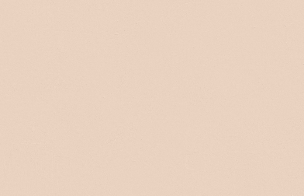 Pink 02: Dusty Pink Paint - Matt Interior Paint | Lick