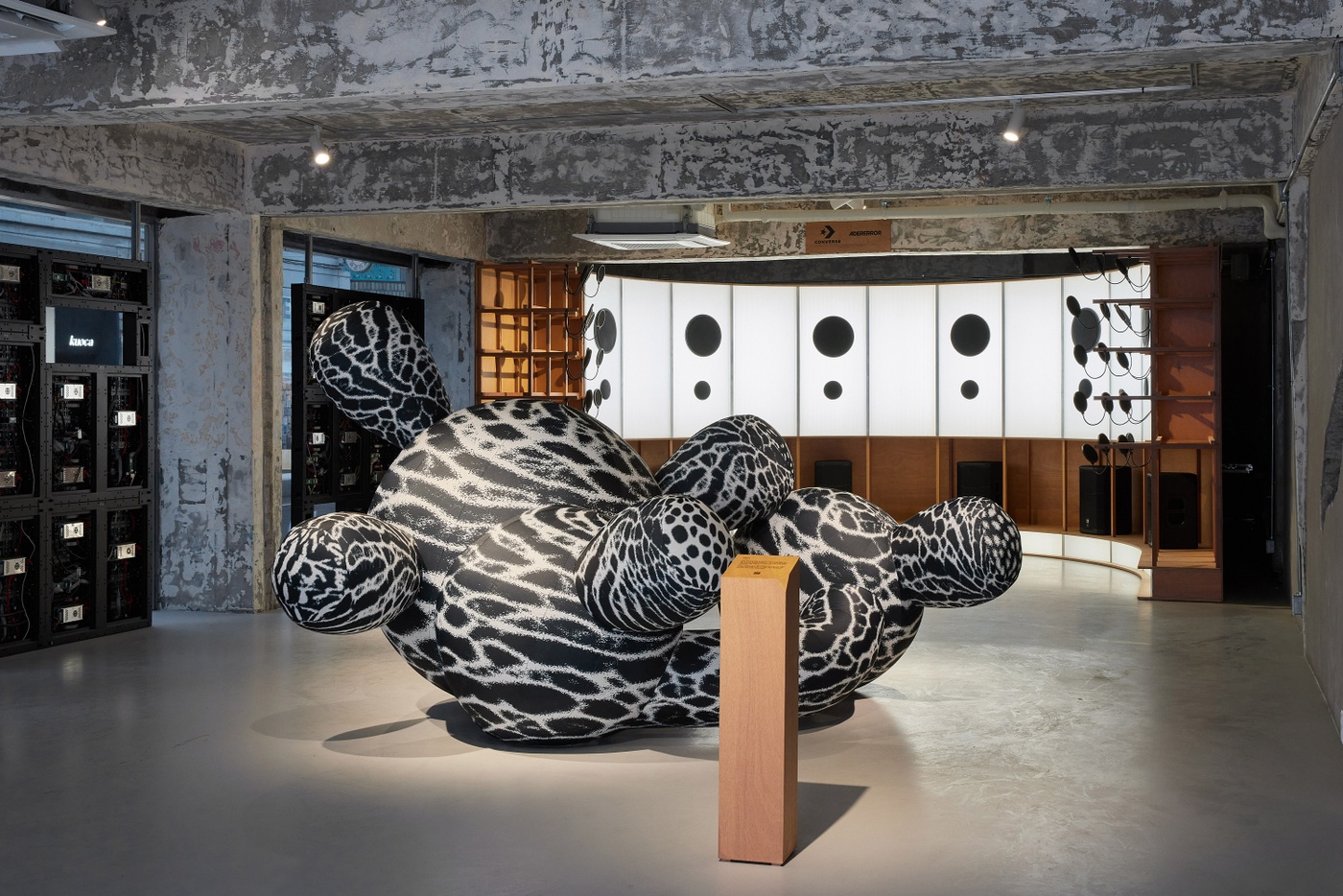 Kernel ☯🌱👟 – Tin&Ed