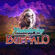 Bison Casino Login - Zaloguj się na Konto Bison Casino