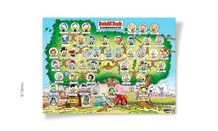 Donald Duck Poster - Stamboom - De Donald Duck Shop