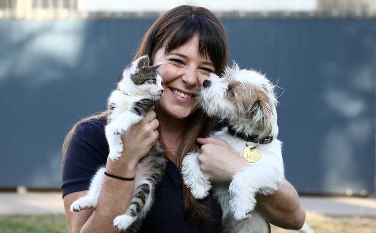 Willed and The Lost Dogs Home