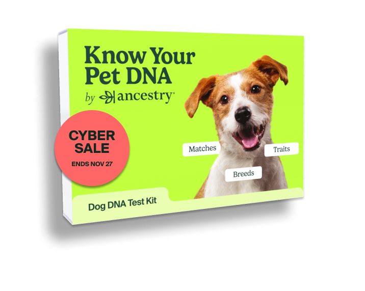 Dog DNA Test Kit Know Your Pet DNA By Ancestry®, 55% OFF