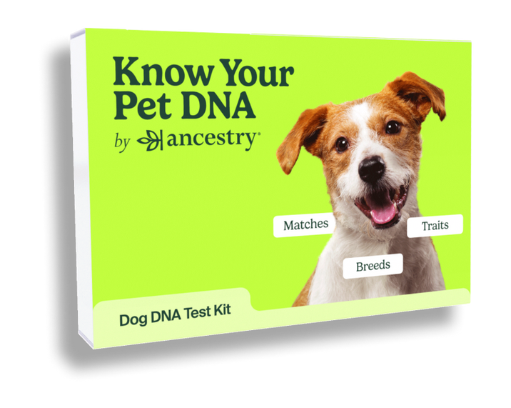Dog DNA Test Kit Know Your Pet DNA By Ancestry 