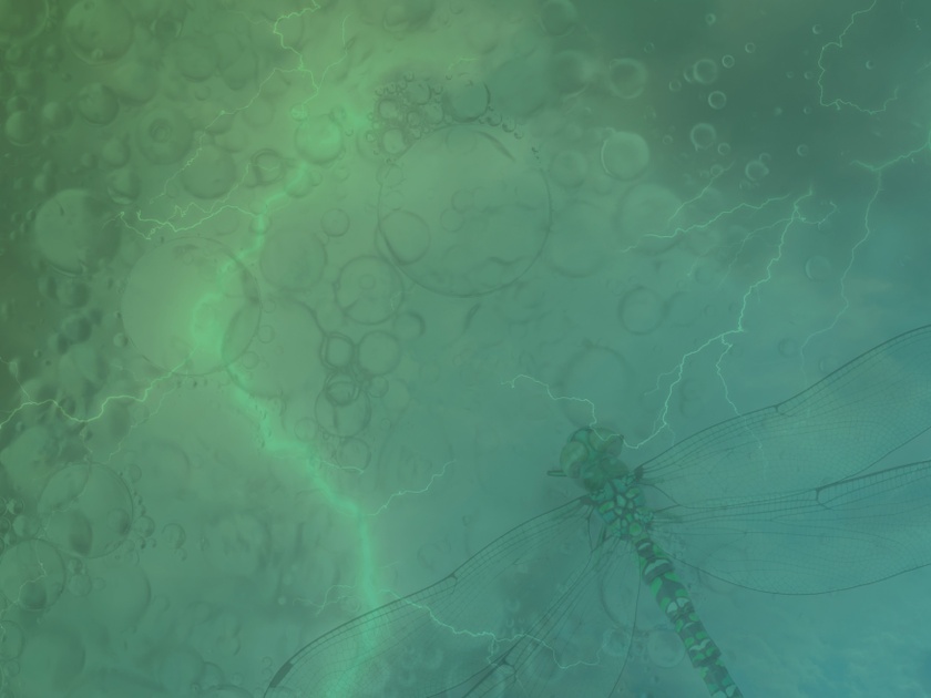 Dragonfly® System | De Nora