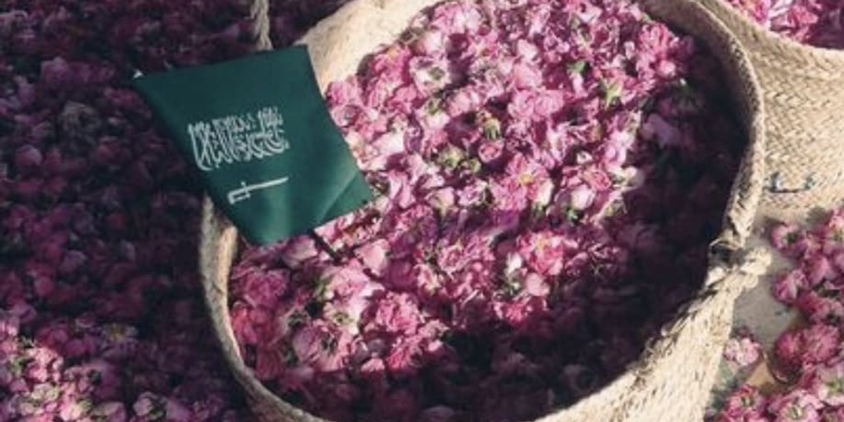 Roses of Taif | Colin Rhys