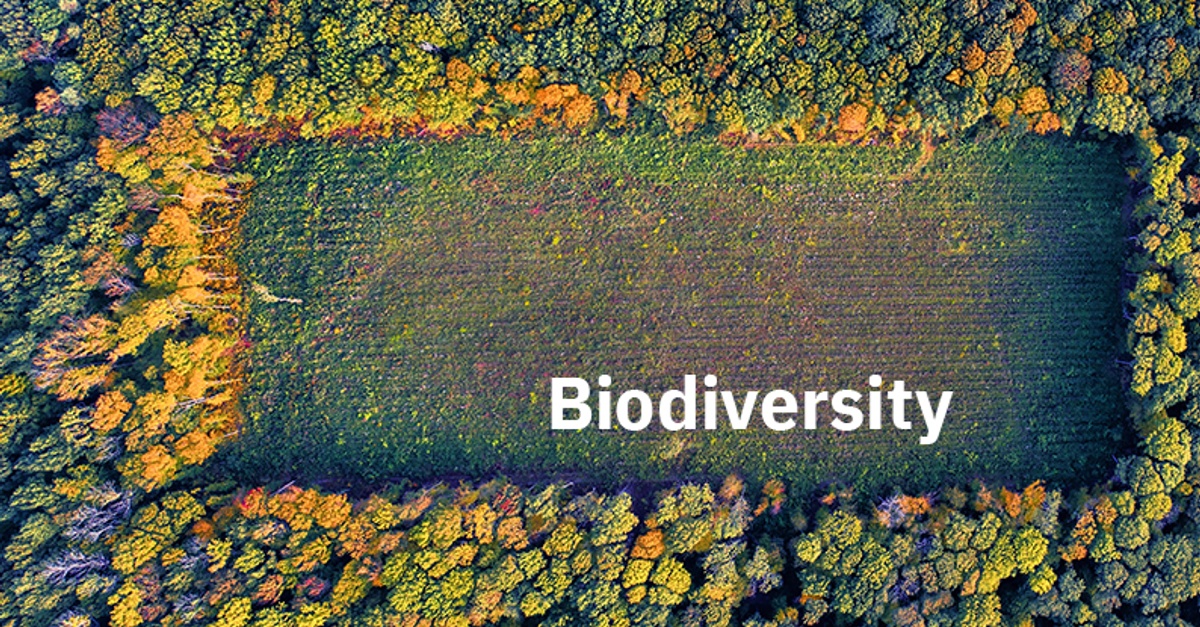 Klappir | Understanding biodiversity data in sustainability reporting