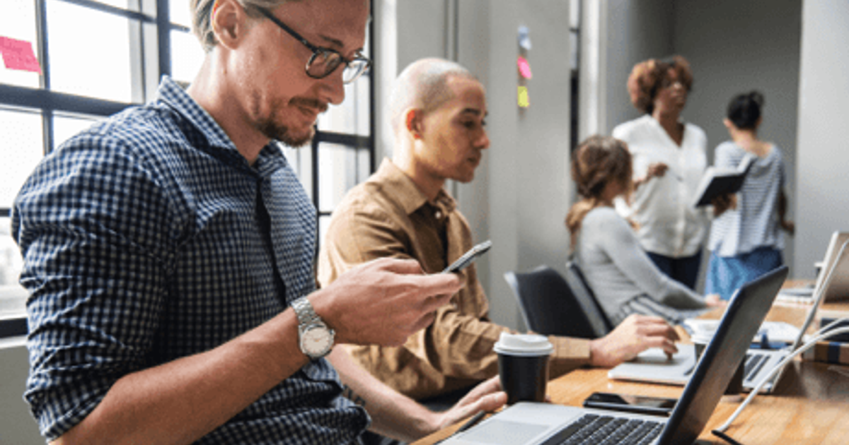 How to become an Auditor - Skills & Job Description – SEEK