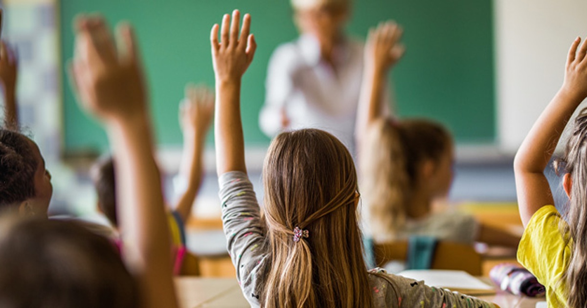 Primary School Teacher Salary in NZ (October, 2025) – SEEK