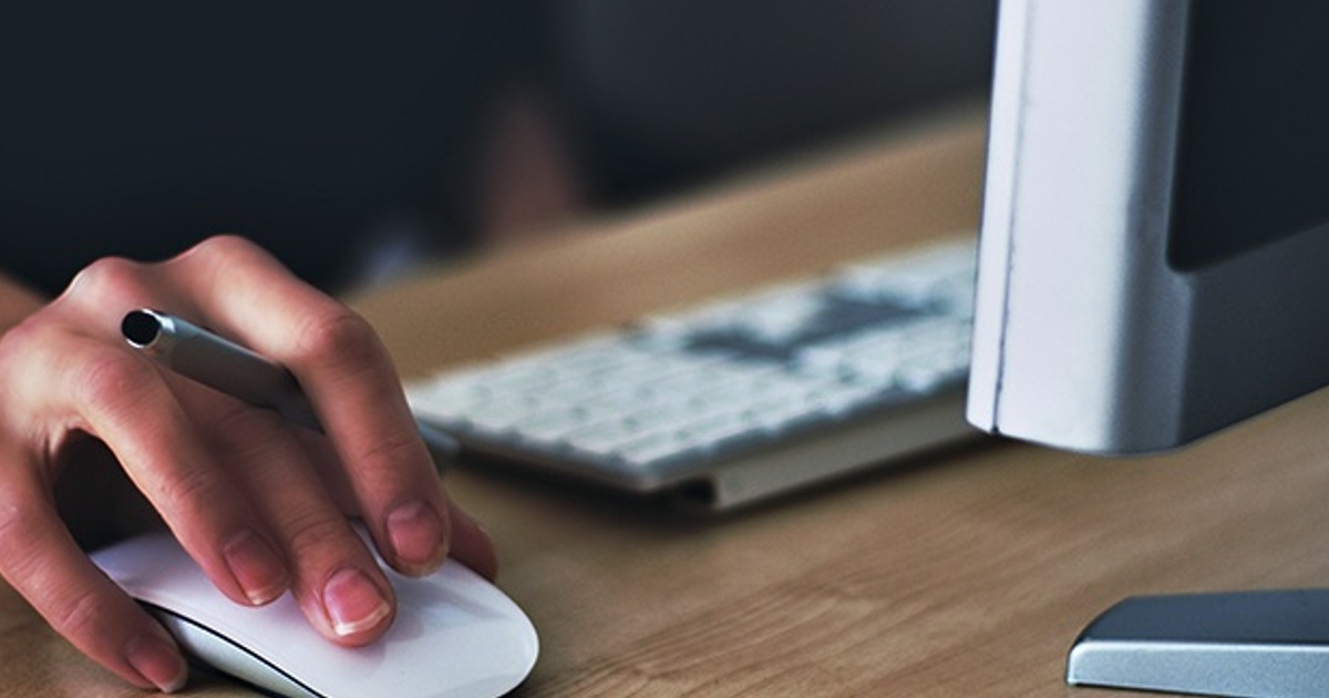 Customer Service Representative Salary in NZ (January, 2026) – SEEK